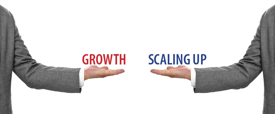 Growth and Scaling Up Aren't the Same Things - The Transformation Company